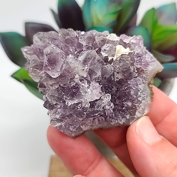 Accents | Natural Indian Purple Amethyst Crystal Cluster Specimen ...